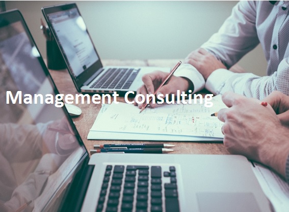 Management Consulting and Business Planning > VALON